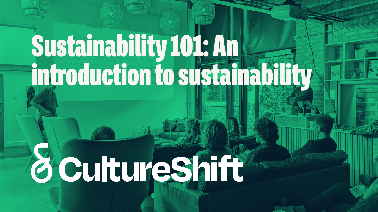 Sustainability 101: An introduction to sustainability - Future Shift
